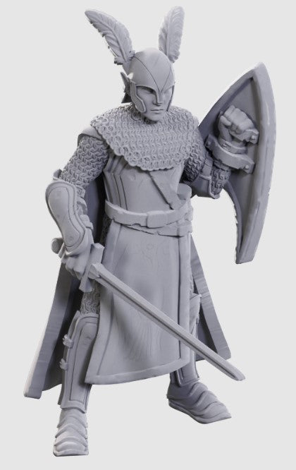 Dungeons & Dragons Nolzur's Marvelous Unpainted Miniatures: Limited Ed ...